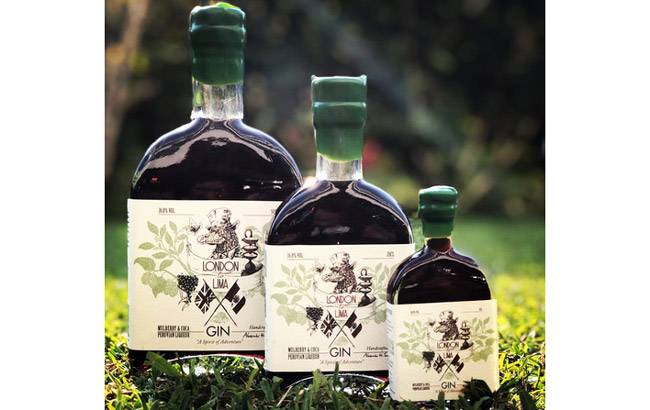 Coca-infused gin liqueur launches in UK - The Spirits Business