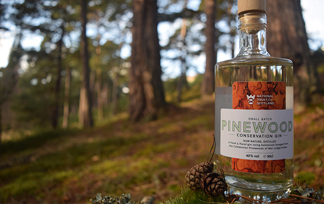 National Trust for Scotland creates its first gin - The Spirits Business