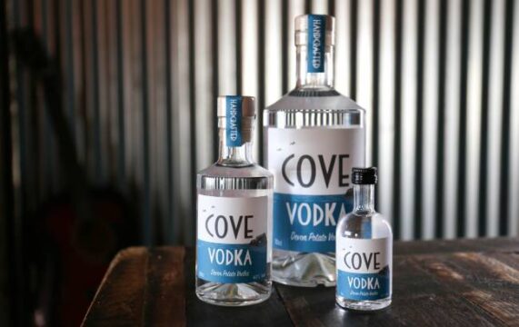 Top 10 award-winning vodka brands - The Spirits Business