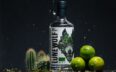 Lonewolf creates cactus and lime-flavoured gin - The Spirits Business