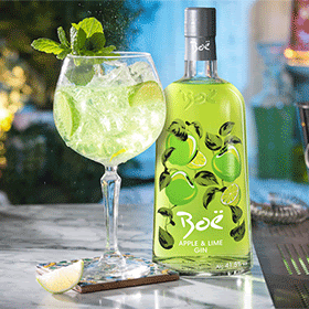 Boë Gin unveils apple and lime flavour - The Spirits Business