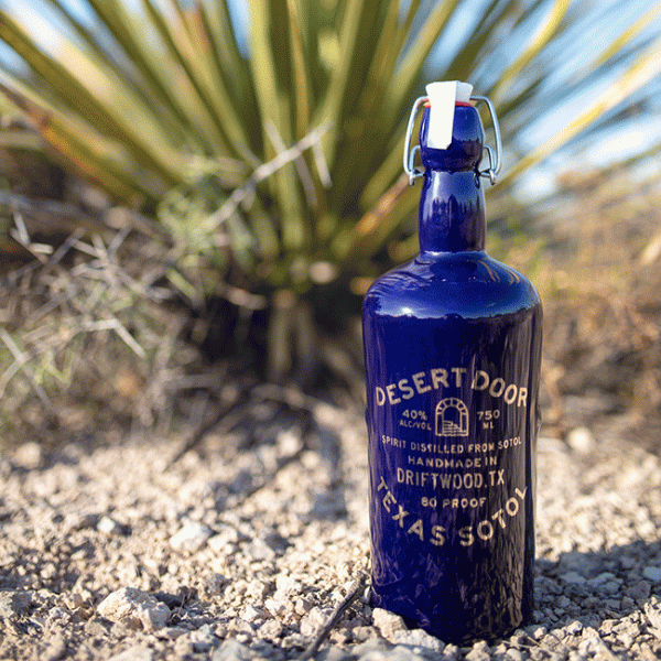 Desert Door Texas Sotol names marketing exec - The Spirits Business