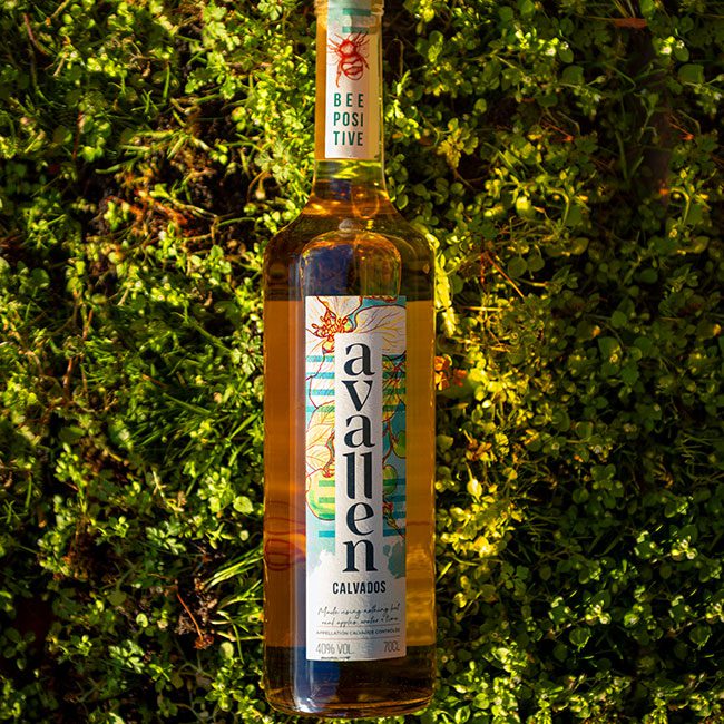 Avallen launches in Costa Rica - The Spirits Business