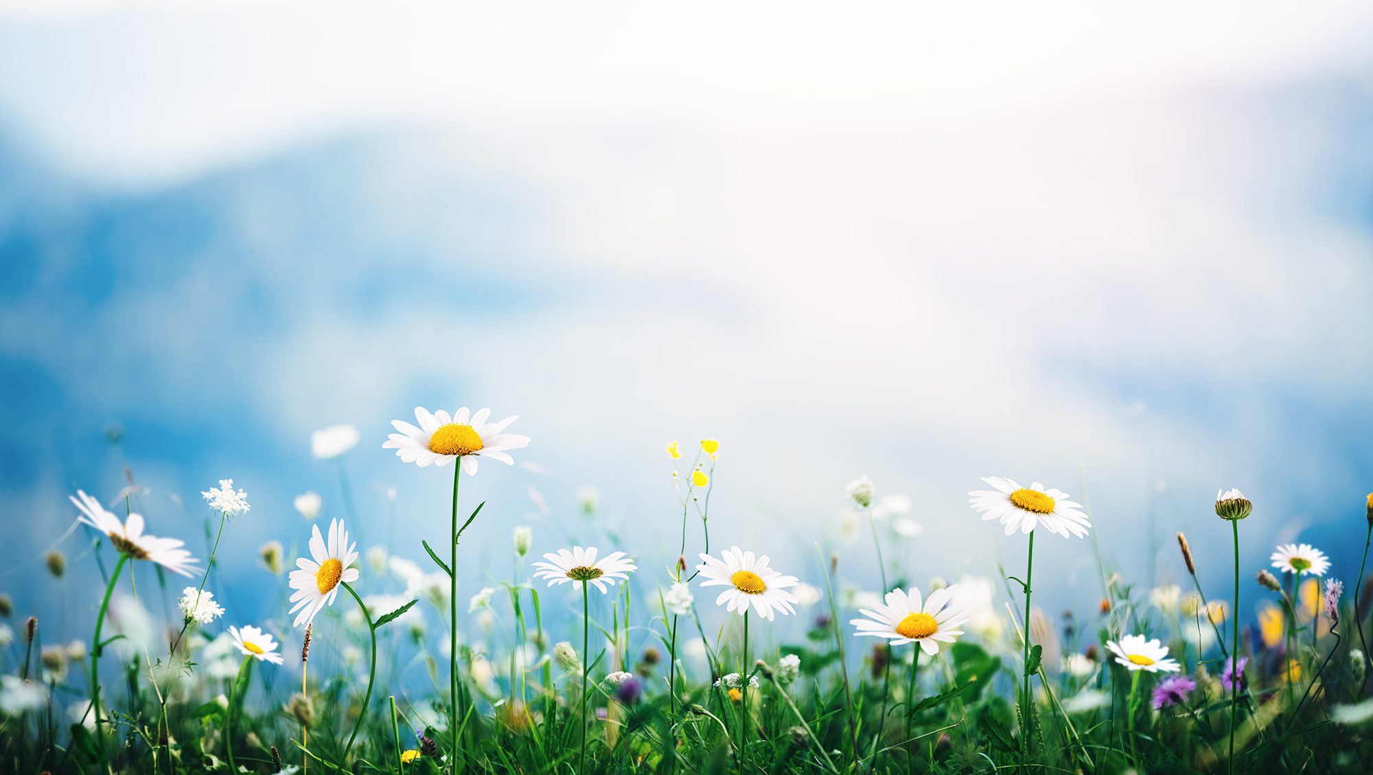 The DB & SB Spring Blind Tasting 2022 results - The Spirits Business