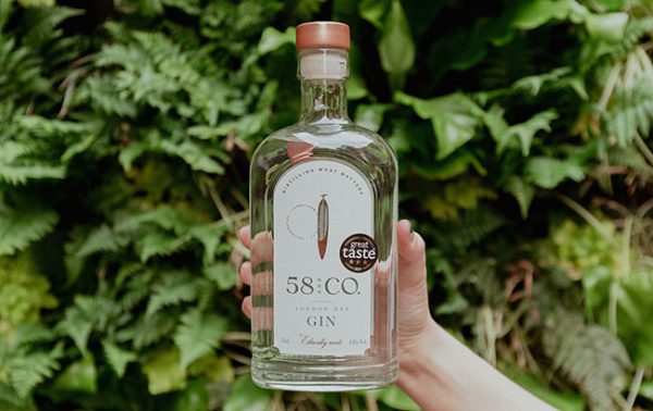 Ten standout award-winning gins - The Spirits Business