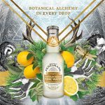 Fentimans unveils new look - The Spirits Business