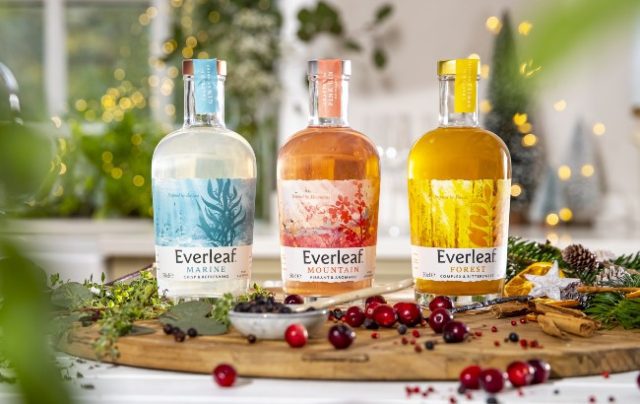 Everleaf launches Try January initiative - The Spirits Business