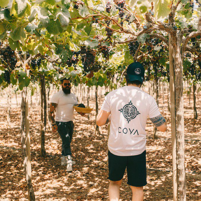 Coya bottles ‘world's first’ passion fruit pisco infusion - The Spirits ...