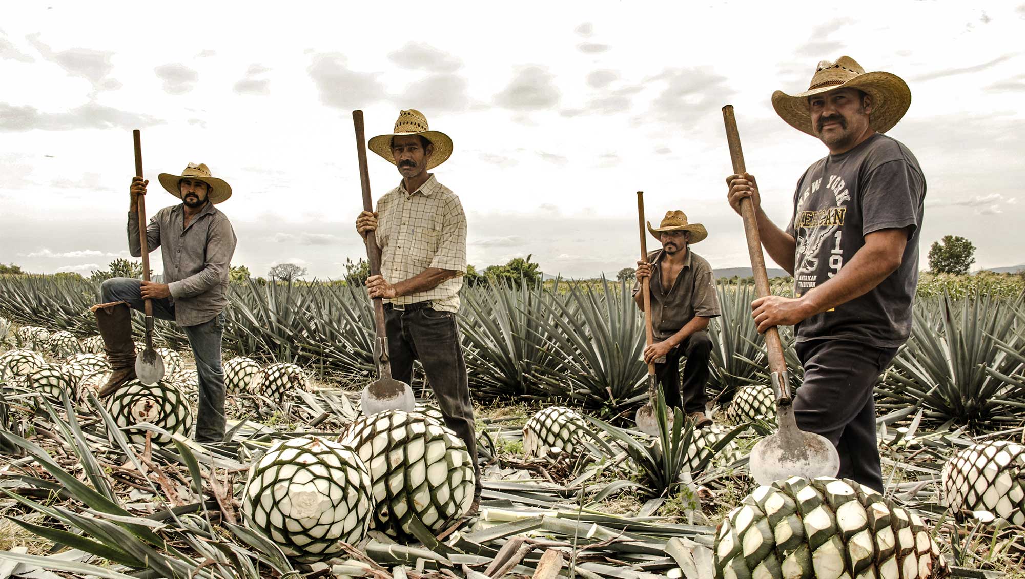 Grow figure: the global potential of Tequila - The Spirits Business