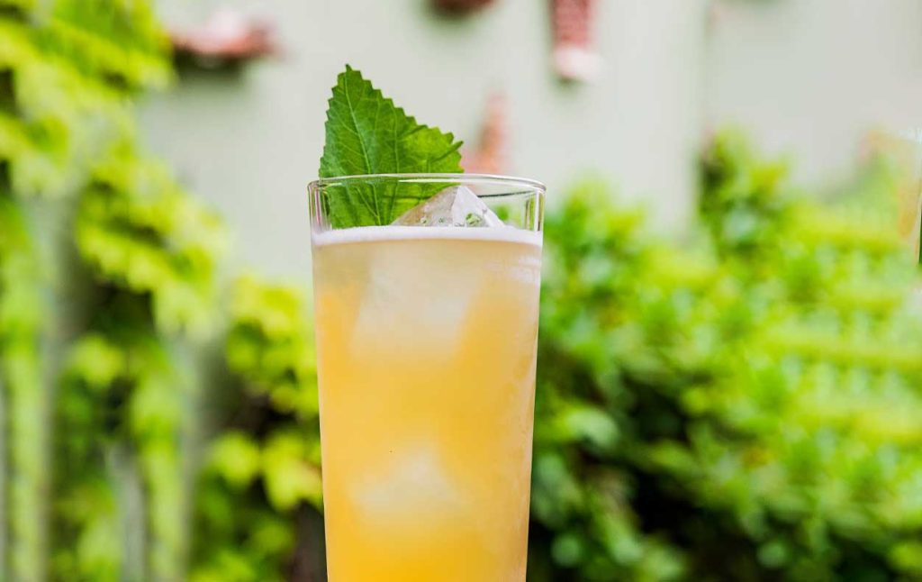 World-class cocktails to celebrate IWD - The Spirits Business