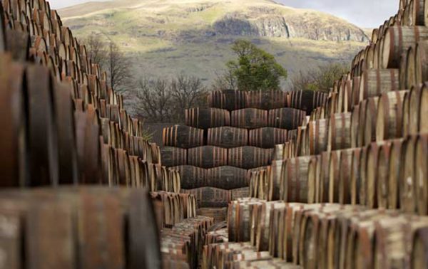 Diageo launches cask maturation project - The Spirits Business