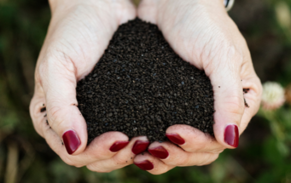 Brother Justus pioneers cold-peated whiskey - The Spirits Business