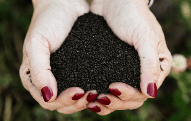 Brother Justus pioneers cold-peated whiskey - The Spirits Business