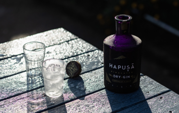 Ten standout award-winning gins - The Spirits Business