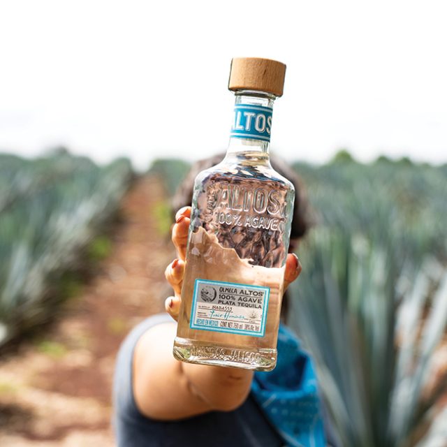 Agave prices fall as Tequila heats up - The Spirits Business