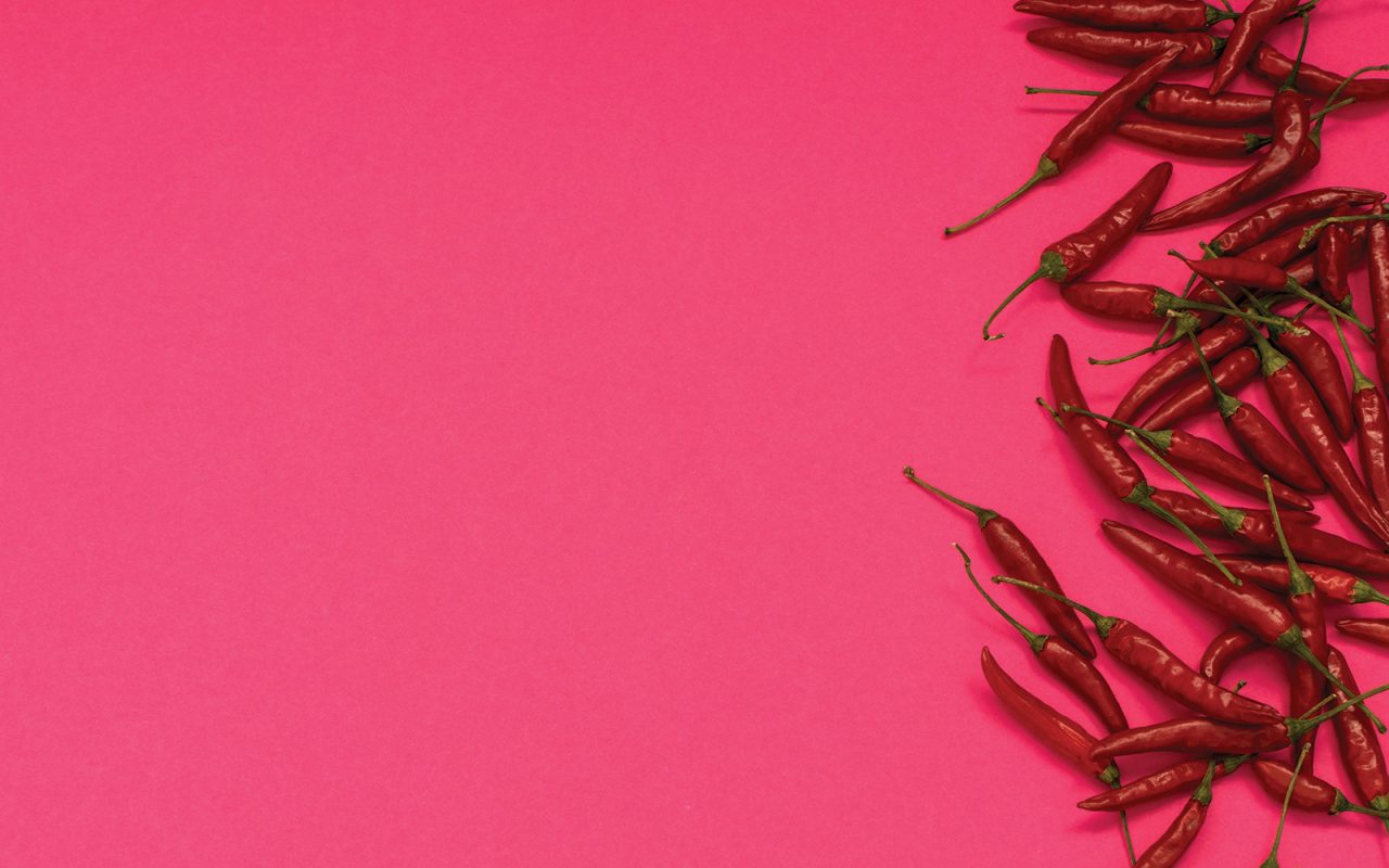 Agave prices fall as Tequila heats up - The Spirits Business