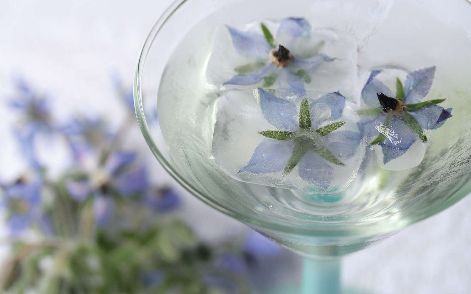 The Gin Masters 2024 – First Tasting results - The Spirits Business