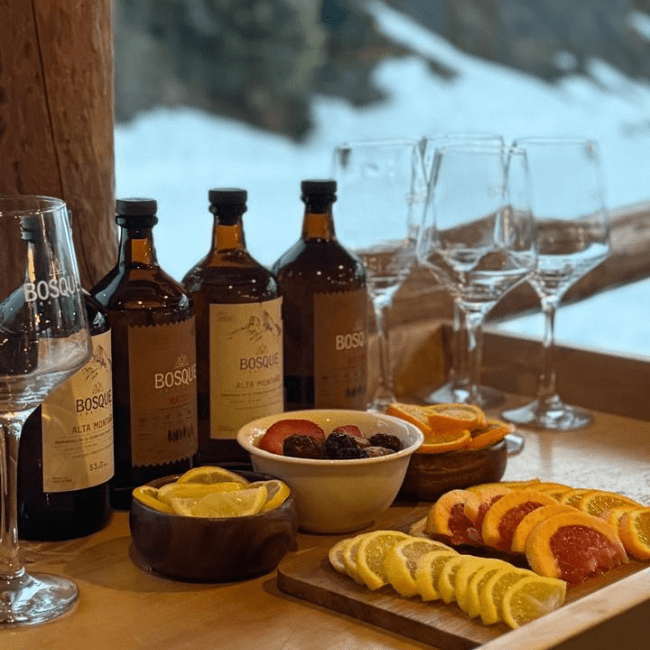 Bosque Gin heads to Patagonia for winter - The Spirits Business