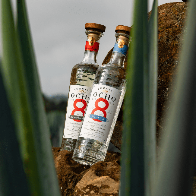 Tequila Ocho brings new look to UK - The Spirits Business