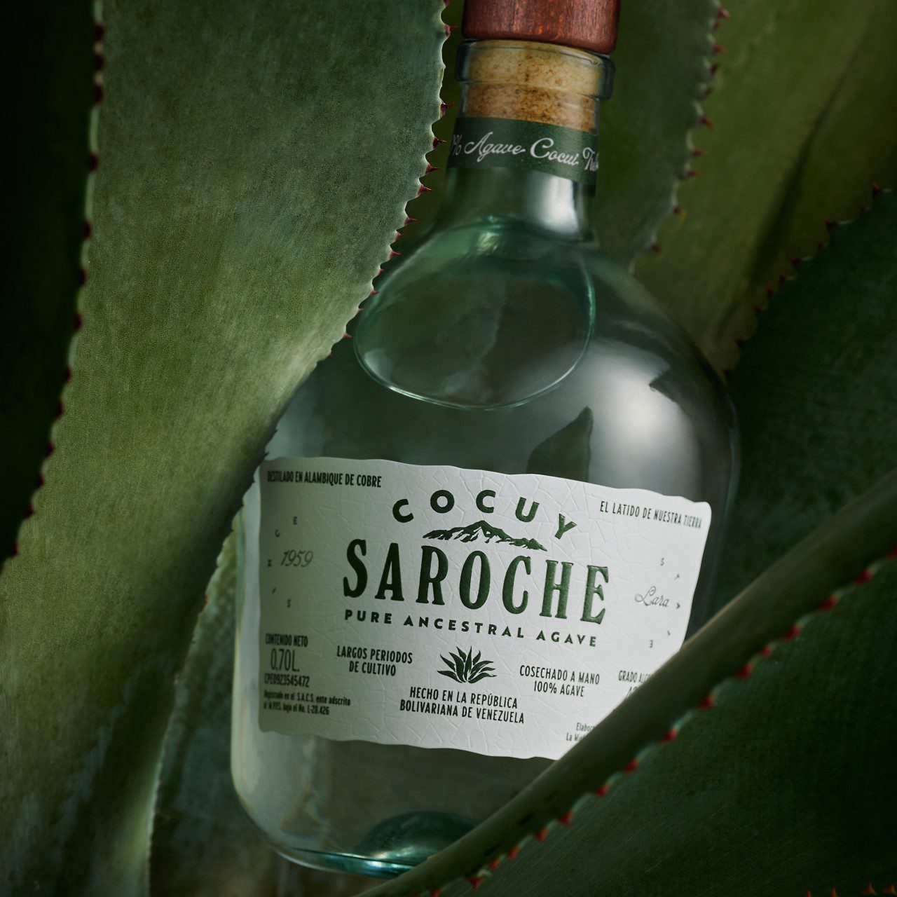 Cocuy Saroche lands in Italy - The Spirits Business