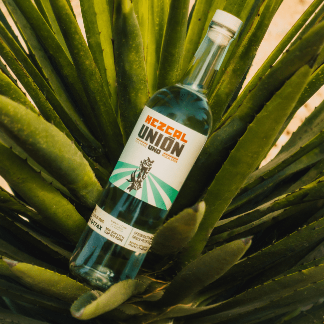 Mezcal Unión: education key to category growth - The Spirits Business