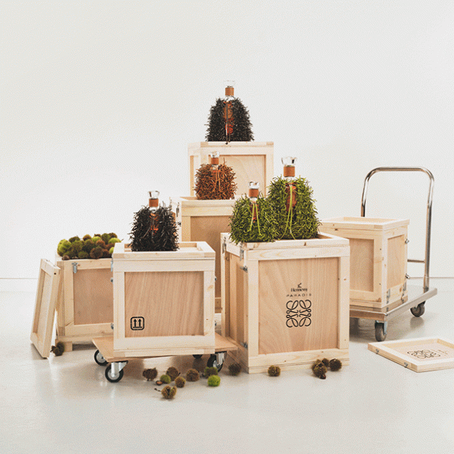 Hennessy Paradis x Loewe: a passion for craft - The Spirits Business