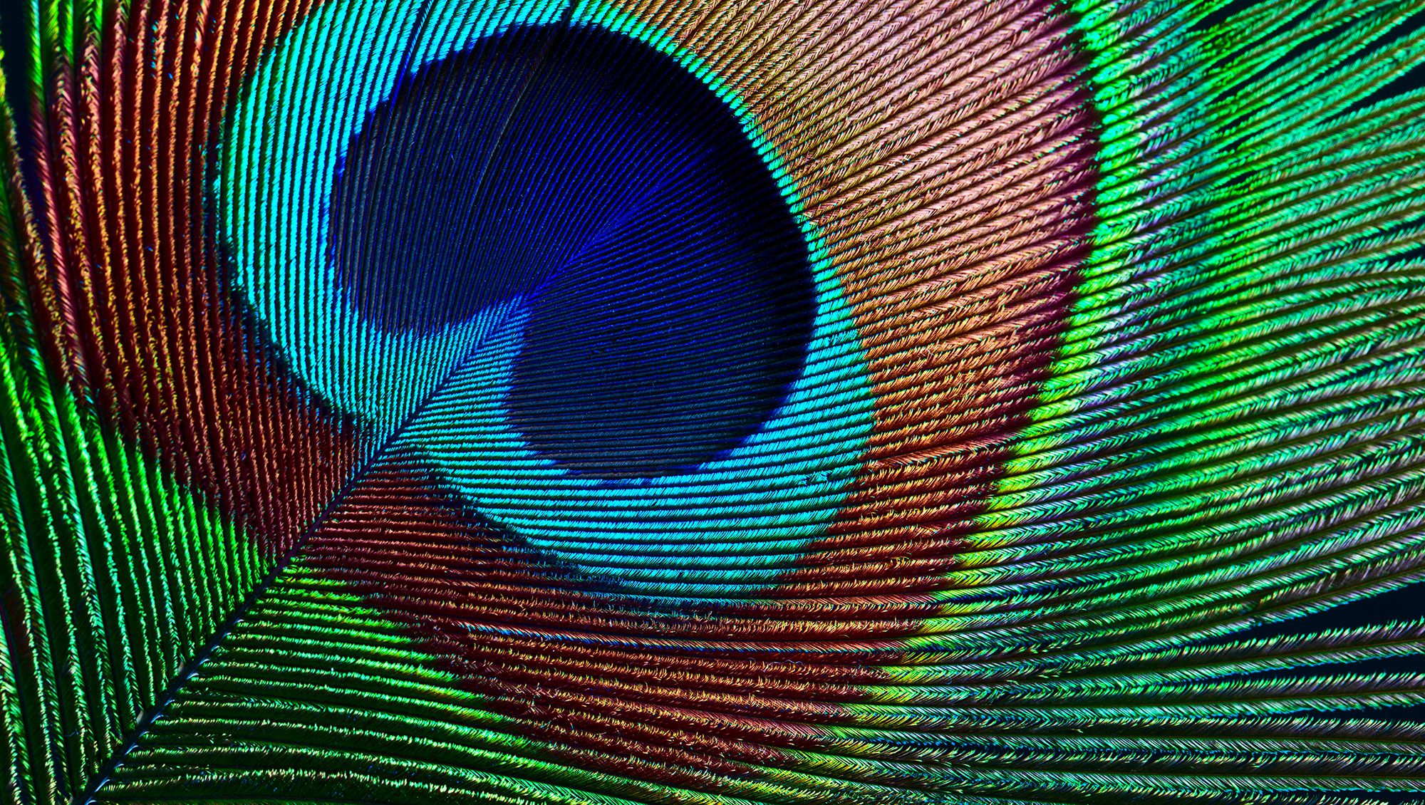 Light as a feather – but are there packaging risks? - The Spirits Business