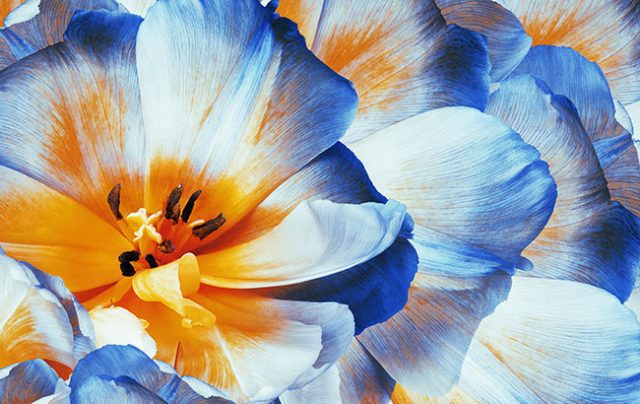 The SB Spring Blind Tasting 2025 results - The Spirits Business