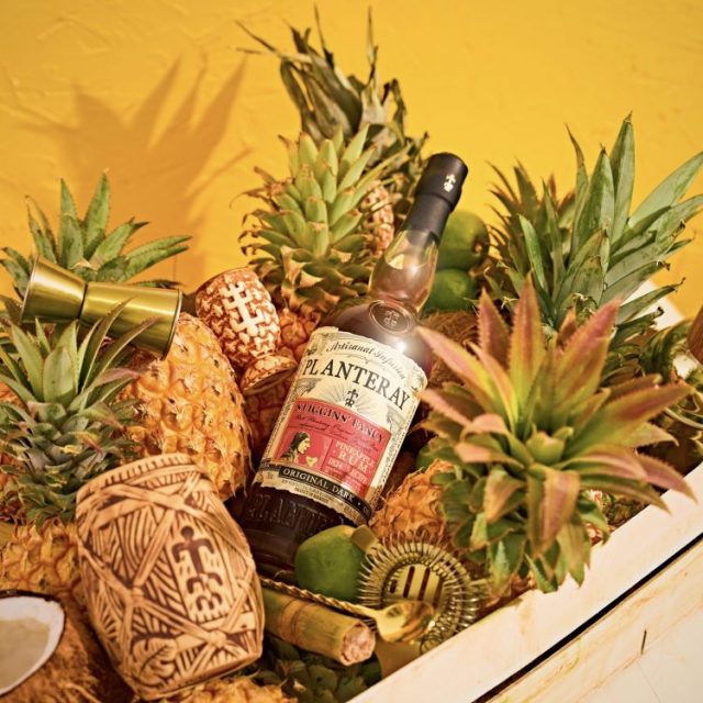 TOTCF creates cocktail competition with Planteray - The Spirits Business